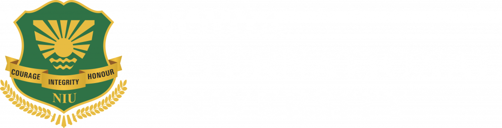 Best B. Tech Colleges in Delhi NCR, Noida - NIU