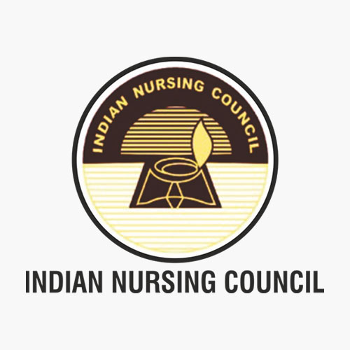 About: Noida International University