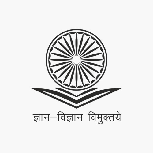 About: Noida International University